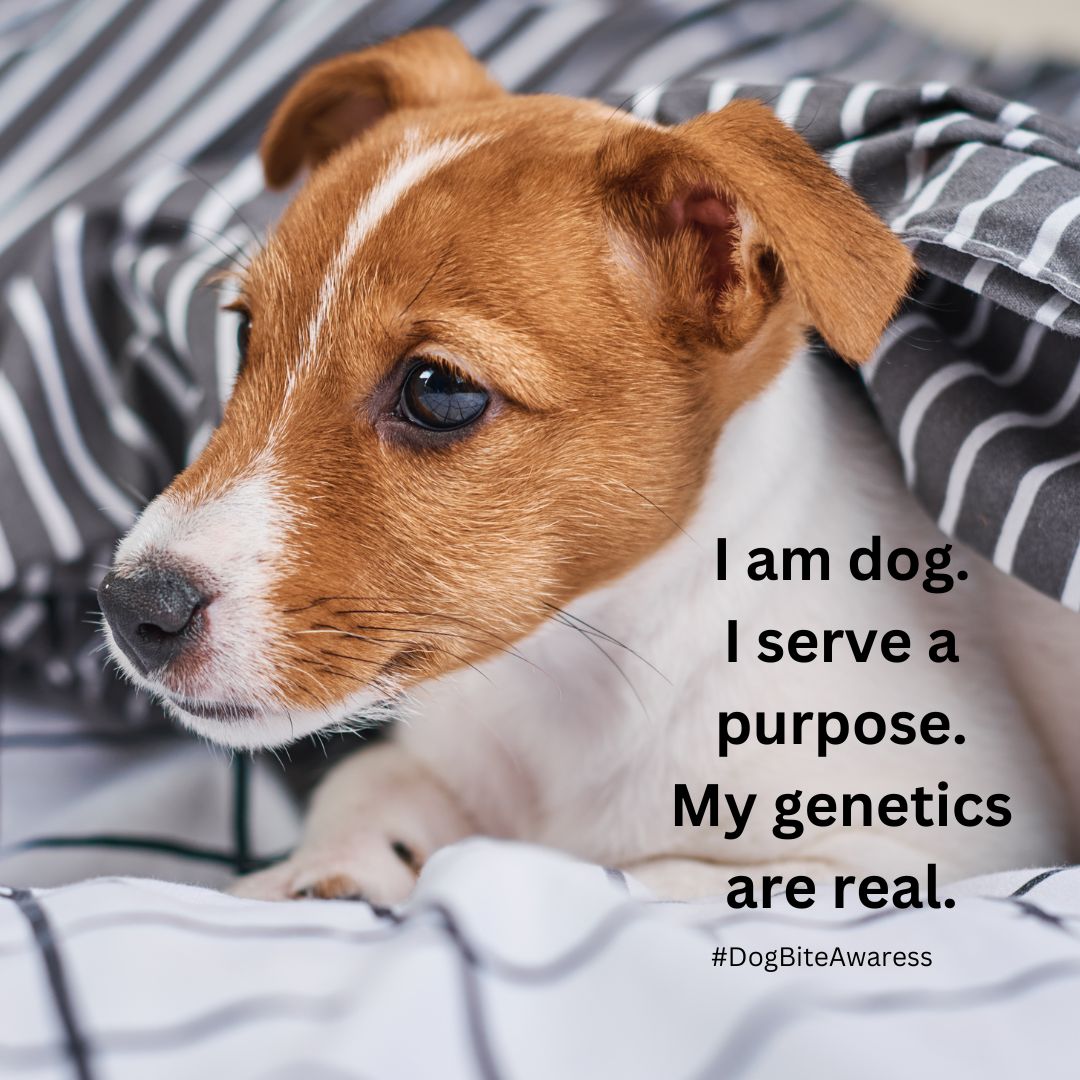 I am a Modern Dog – Parents for Dog Bite Awareness