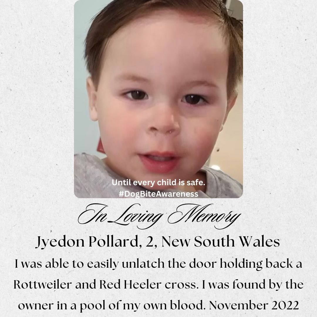 Update on the Jyedon Pollard Case – Parents for Dog Bite Awareness