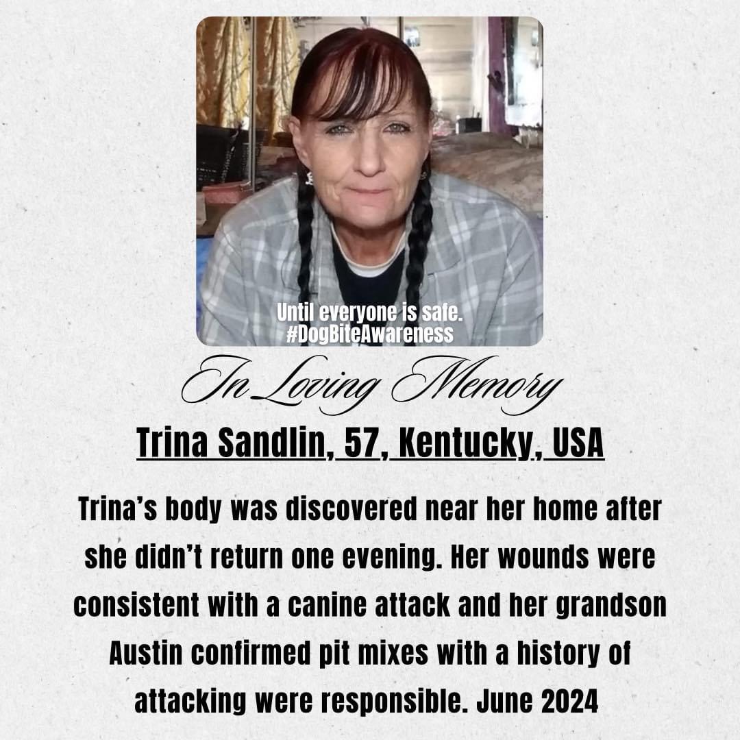 Authorities Fear Backlash from Pitbull Activists, Apathy Leads to Fatal ...