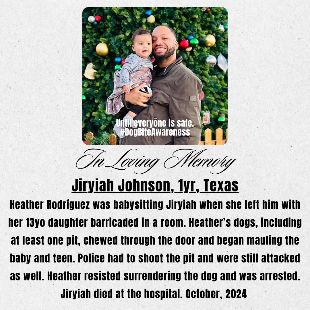 Pitbull Fatally Mauls Baby Jiryiah, Pitmommy Resists Police – Parents ...
