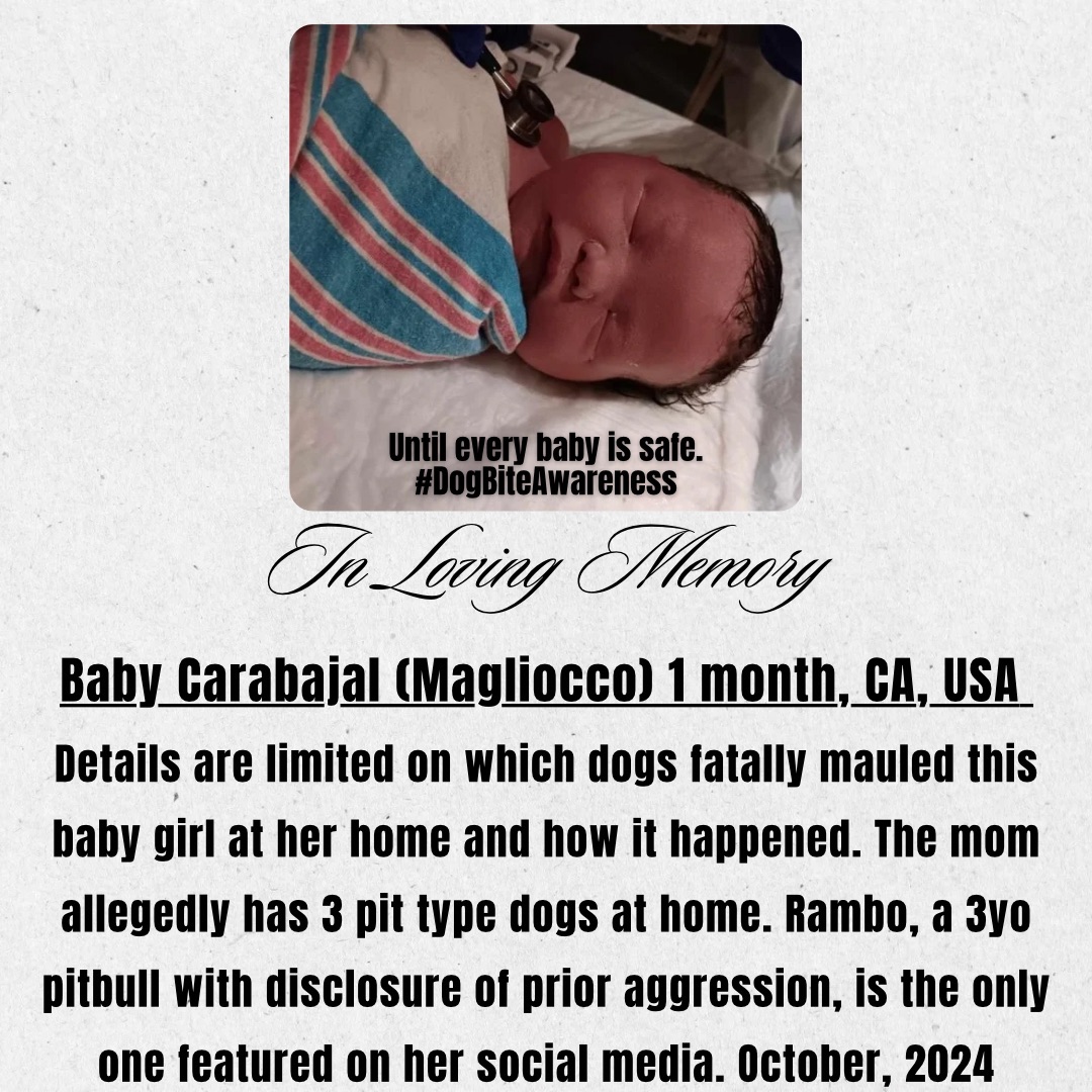 CPS Fails to Protect Second Baby: Fatally Mauled by Dogs – Parents for ...