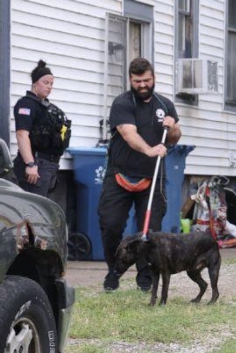 Babysitting with High Risk Dogs Ends in Fatality: Jaxson Dvorak ...