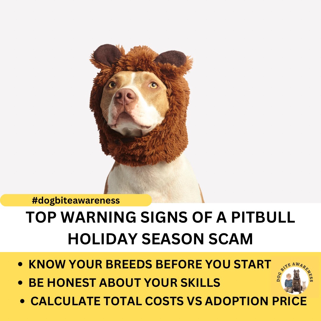 Top 6 Red Flags for Pitbull Fraud During the Holiday Season – Parents ...