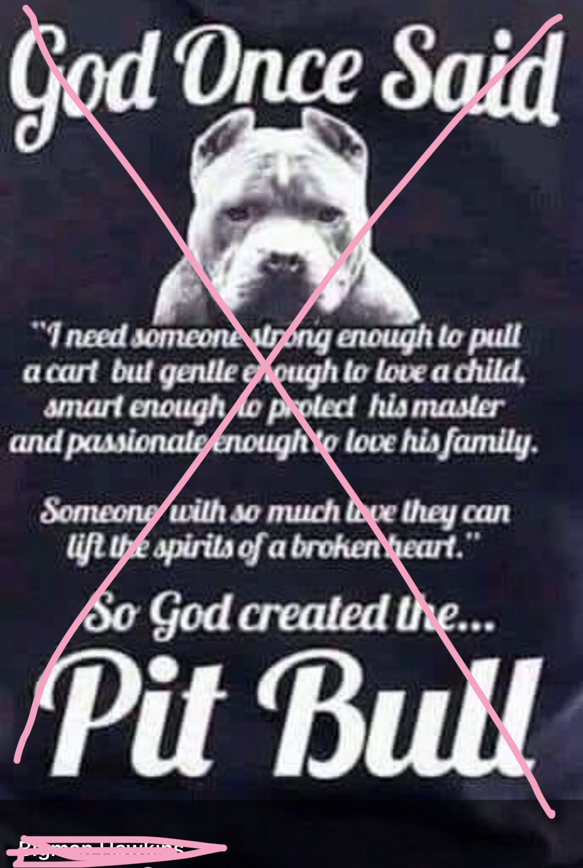 The Deadly Cost of Pit Bull Propaganda – Parents for Dog Bite Awareness