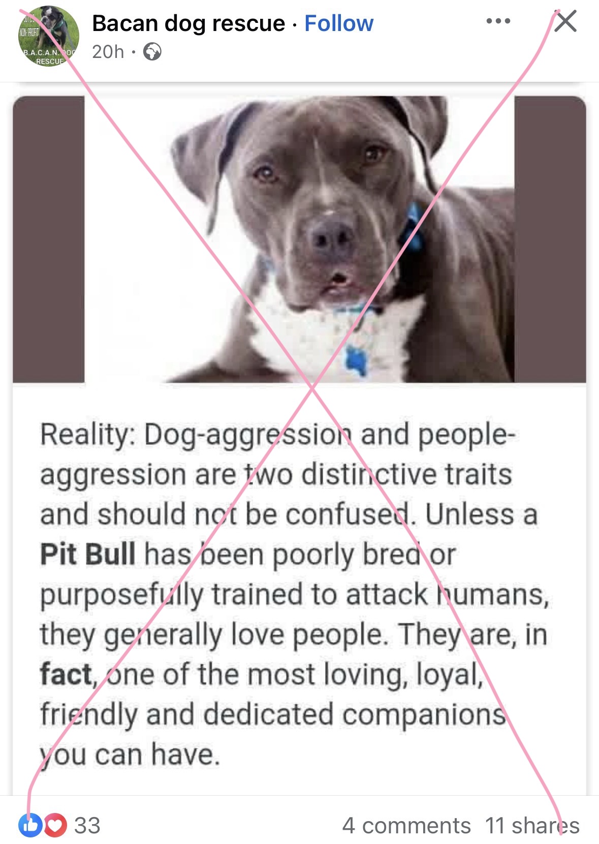 Dog vs Human Aggression: The Deadly Myth – Parents for Dog Bite Awareness