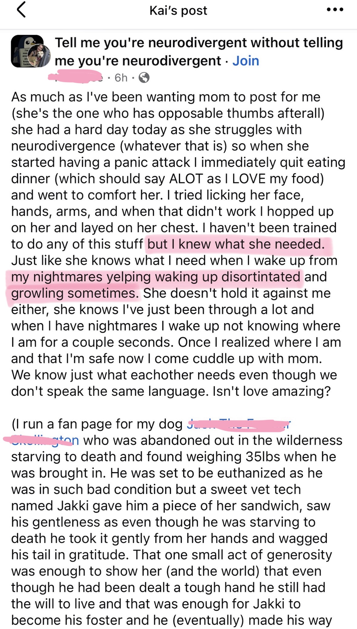 The Line Between Healing and Enmeshment – Parents for Dog Bite Awareness